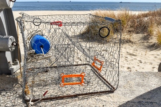 Five Crab Pot license with terrapin excluder